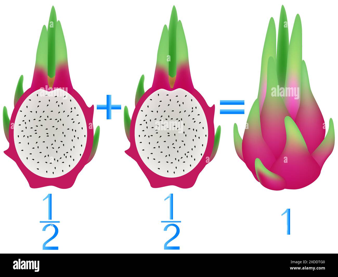 Action relationship of addition halves, examples with pitahaya ...