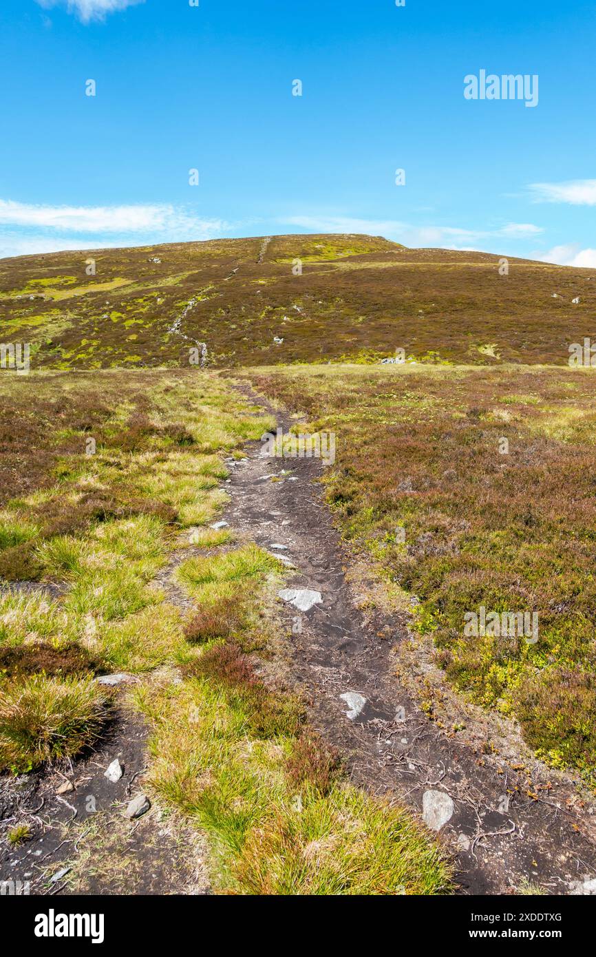 The path up the Corbett mountain of Morven near Logie Coldstone ...