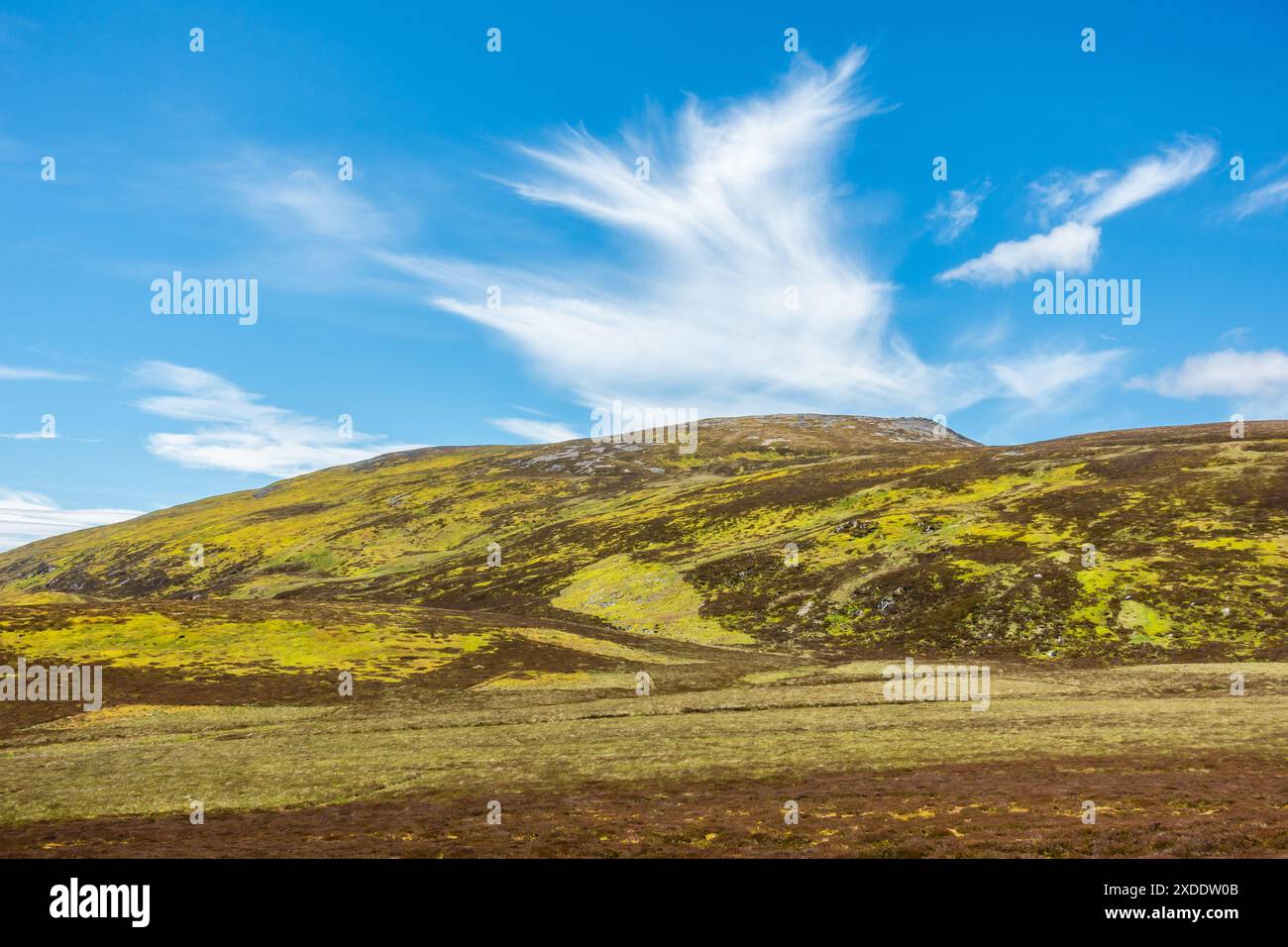 The Corbett mountain of Morven near Logie Coldstone, Aberdeenshire ...
