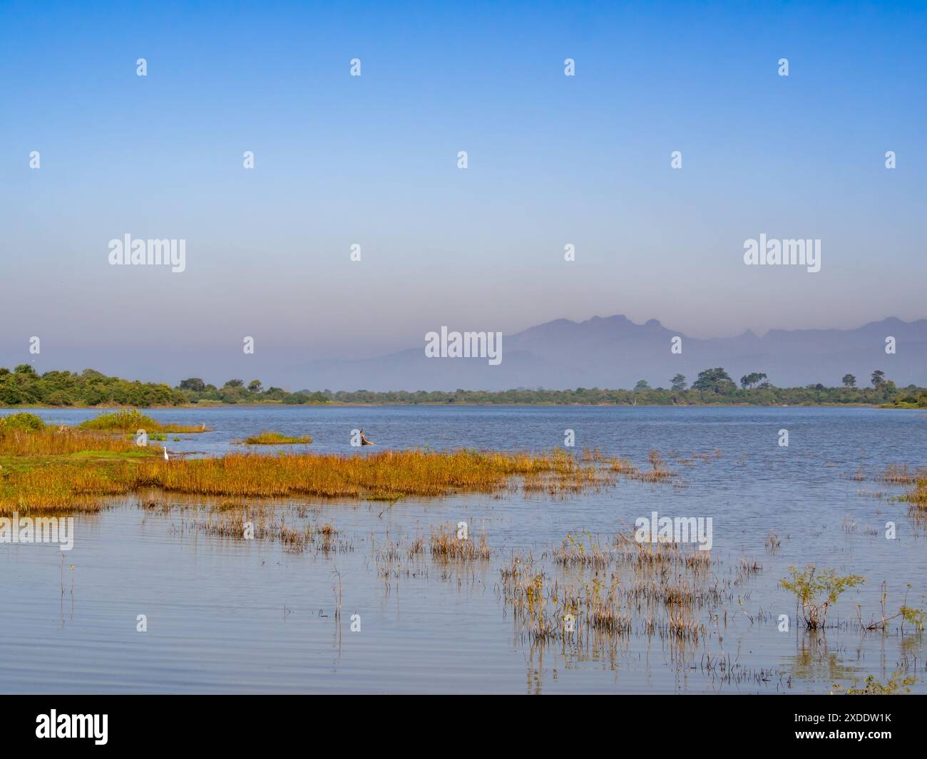Sri Lanka, Ceylon Island - Udawalawe National Park, Tourist safari and ...