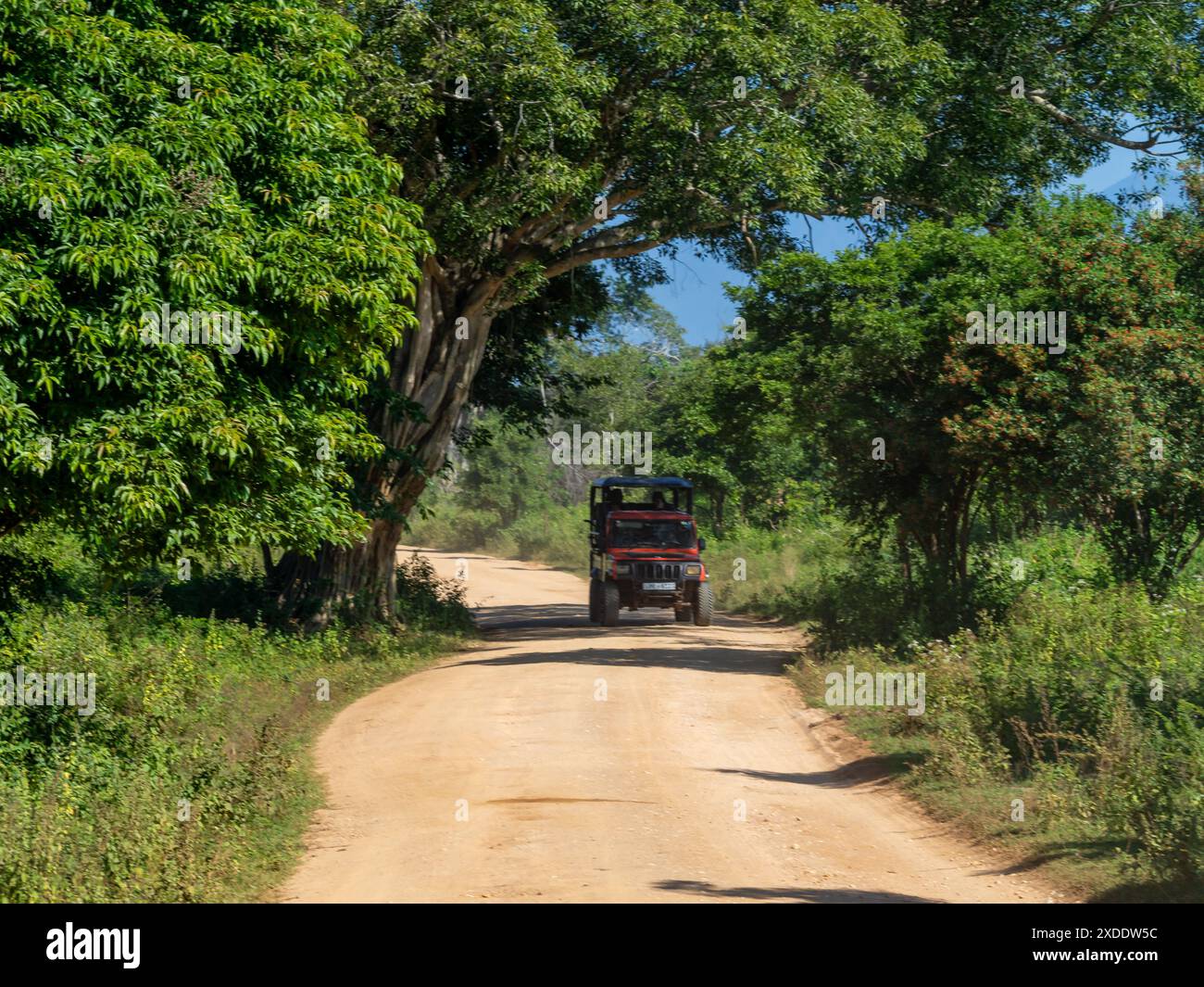 Sri Lanka, Ceylon Island - Udawalawe National Park, Tourist safari and ...