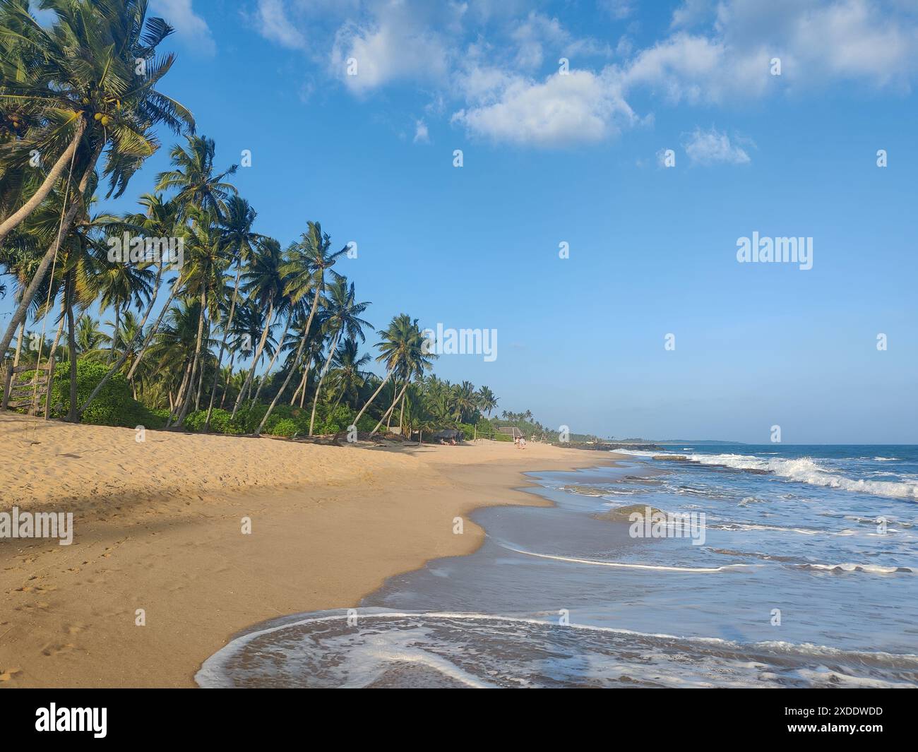 Sri Lanka, Ceylon Island nature and beach in Tangalle Stock Photo - Alamy