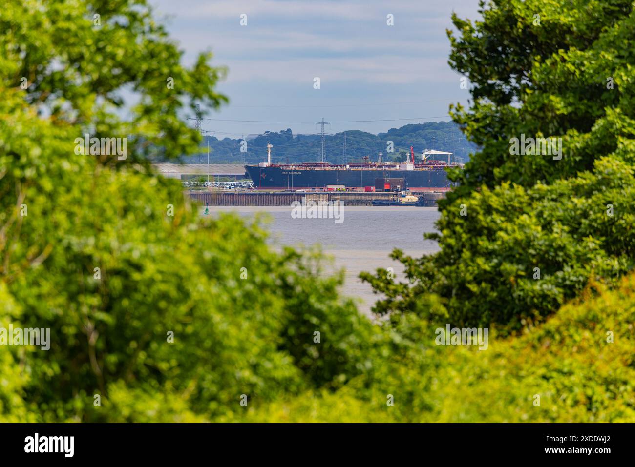 Container vessel leaving Royal Portbury docks Stock Photo - Alamy
