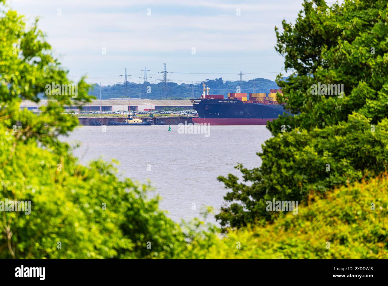 Container vessel leaving Royal Portbury docks Stock Photo - Alamy
