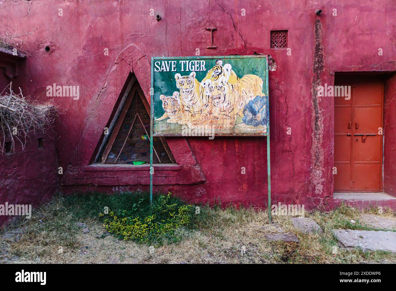 Peeling paintwork on a faded 'Save Tiger' sign with pictures of tigers ...