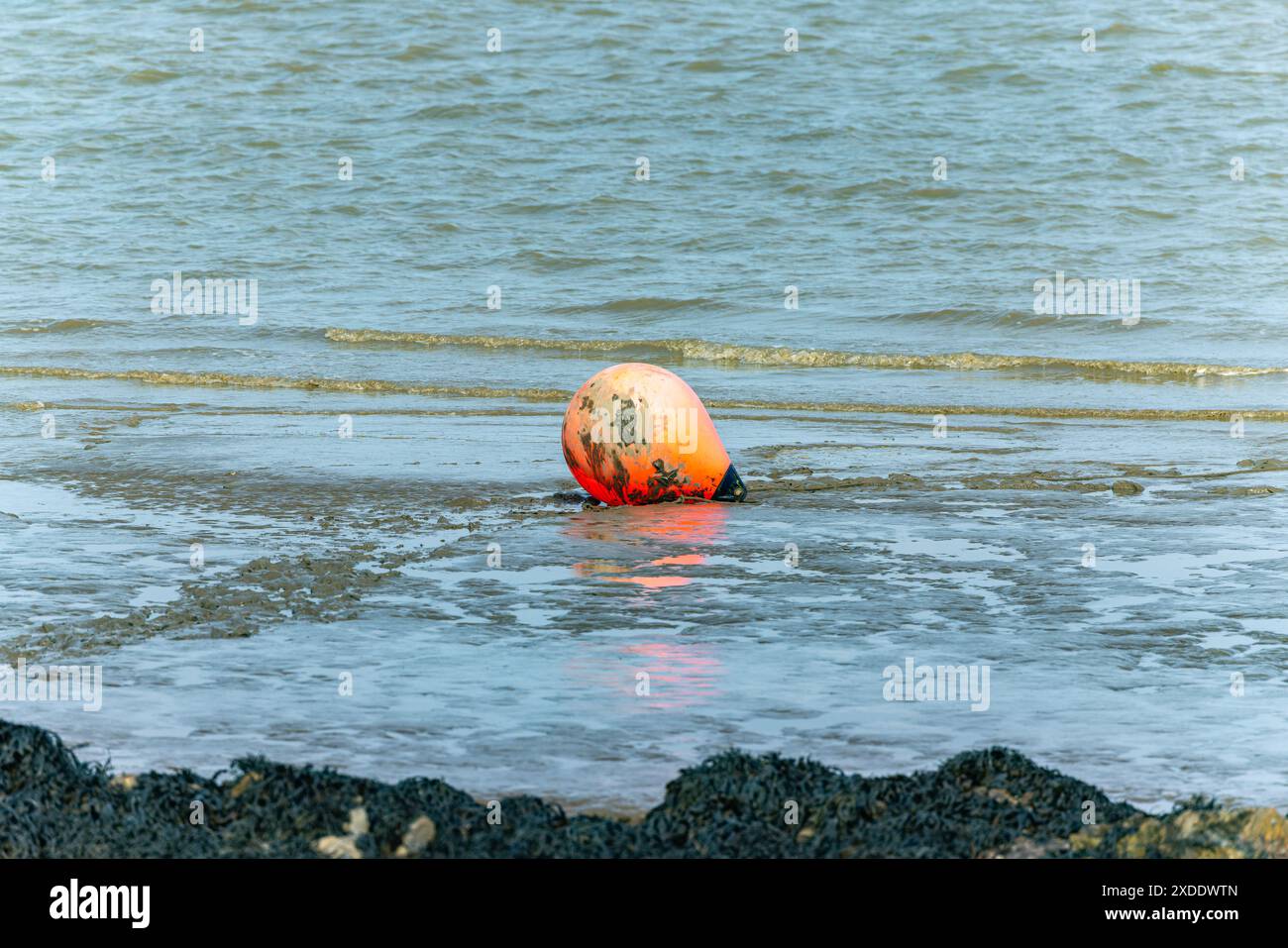 Pink buoy on the mud Stock Photo - Alamy