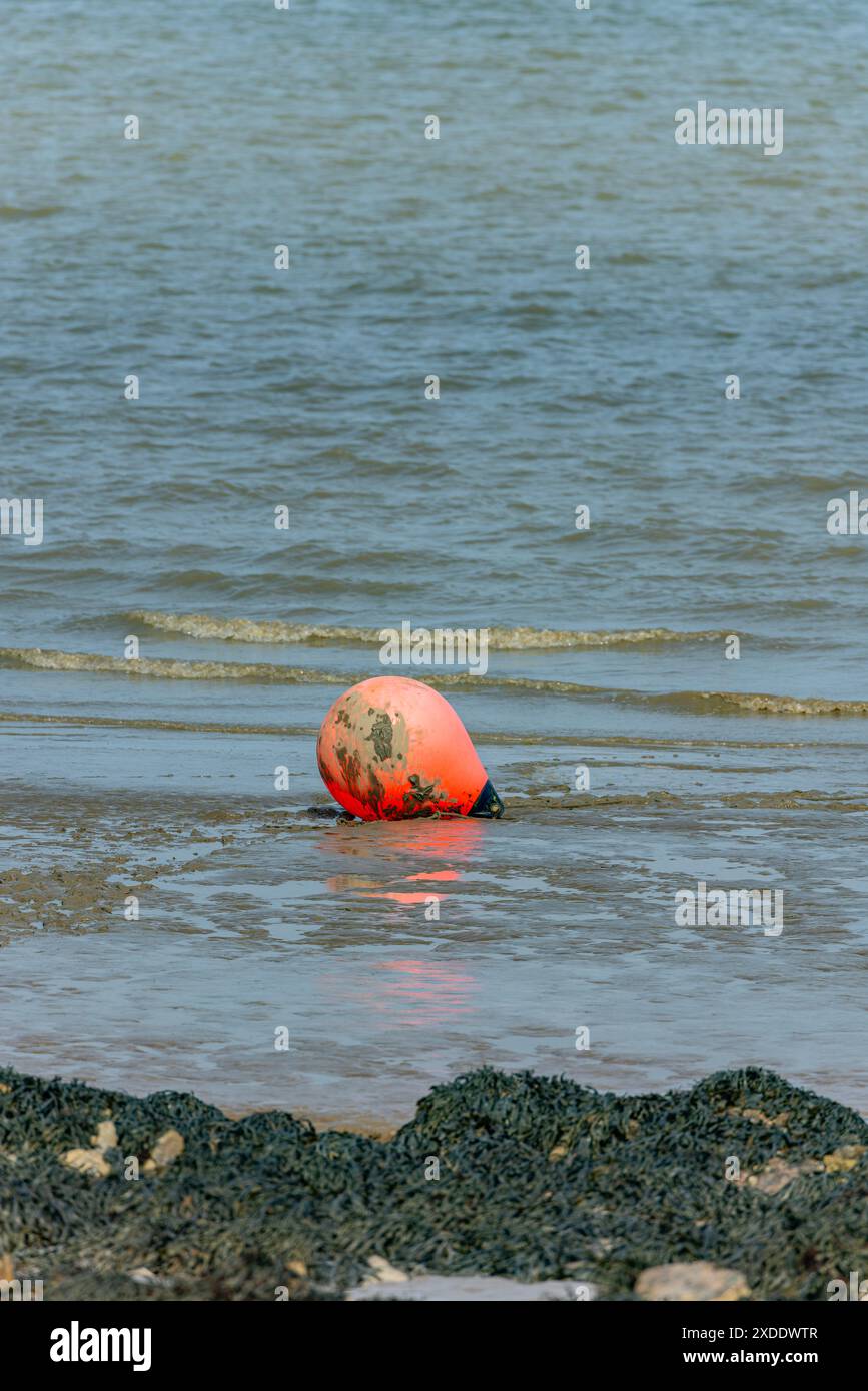 Pink buoy on the mud Stock Photo - Alamy