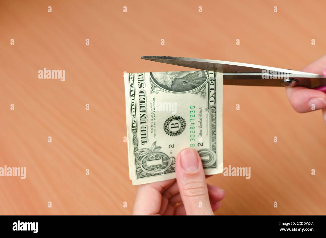 Close-up of female hands cutting one dollar bill with scissors Stock ...