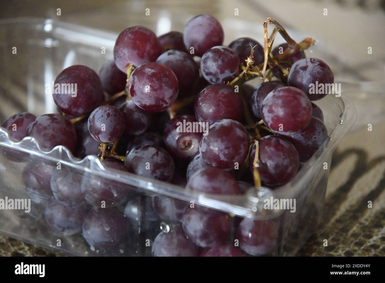Copenhagen/ Denmark/22 JUNE 2024/Grape fruit in danish capital Photo ...