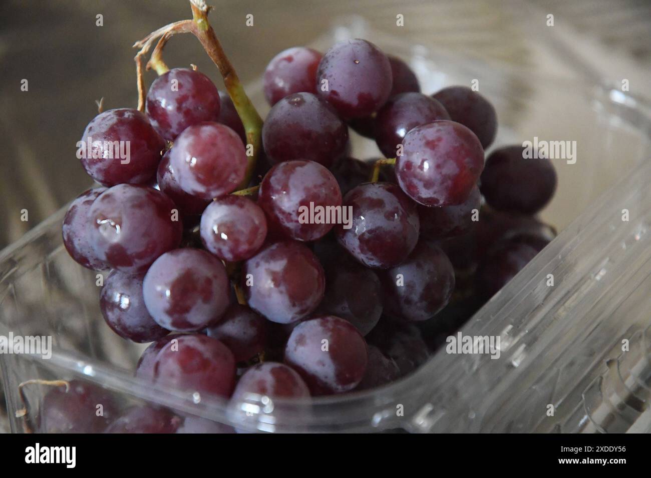 Copenhagen/ Denmark/22 JUNE 2024/Grape fruit in danish capital Photo ...