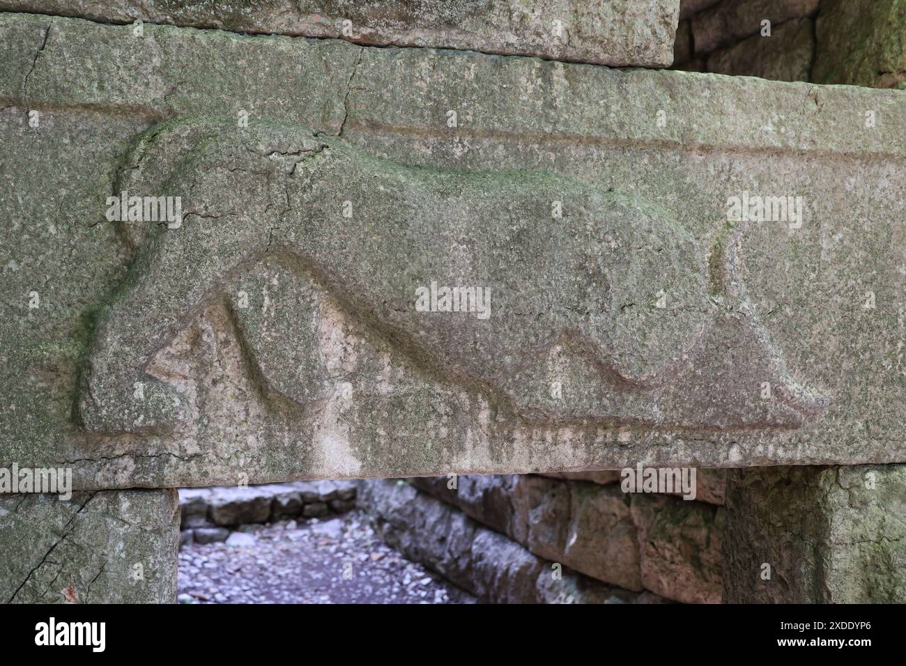 Ancient remains of the ruined city of Butrint -The Lion Gate from the ...