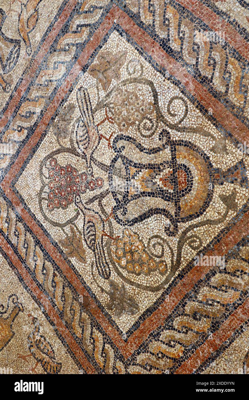 Floor mosaic of an early Christian church in the small fishing village ...