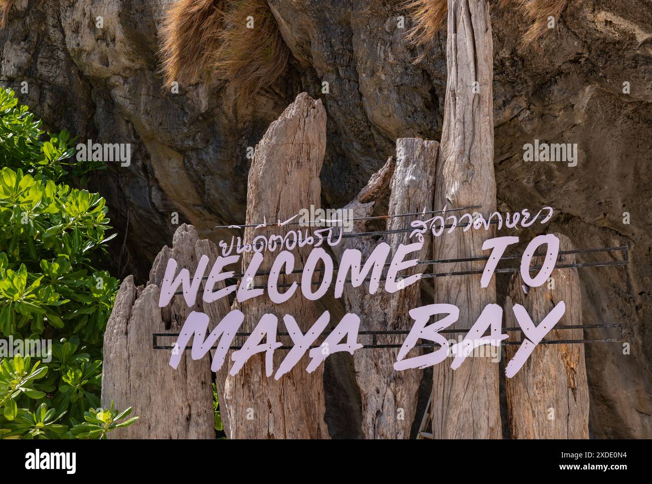 A picture of the Maya Bay sign, on the Ko Phi Phi Lee Island Stock ...