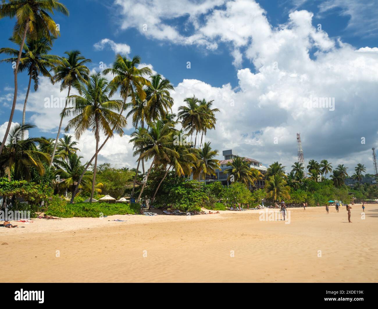 Sri Lanka, Ceylon Island nature and Mirissa Beach Stock Photo - Alamy
