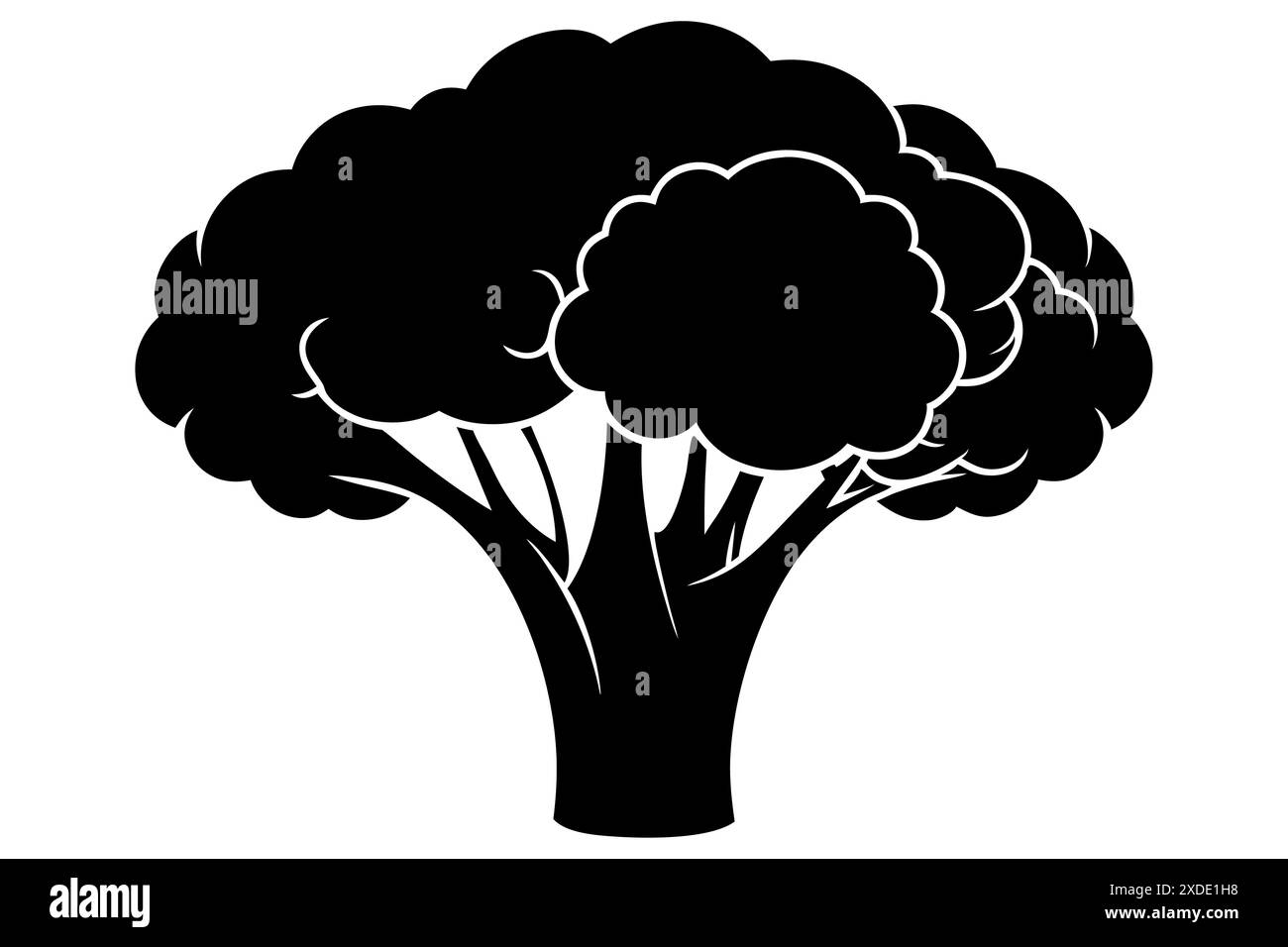 Broccoli Vector illustration art work Stock Vector Image & Art - Alamy