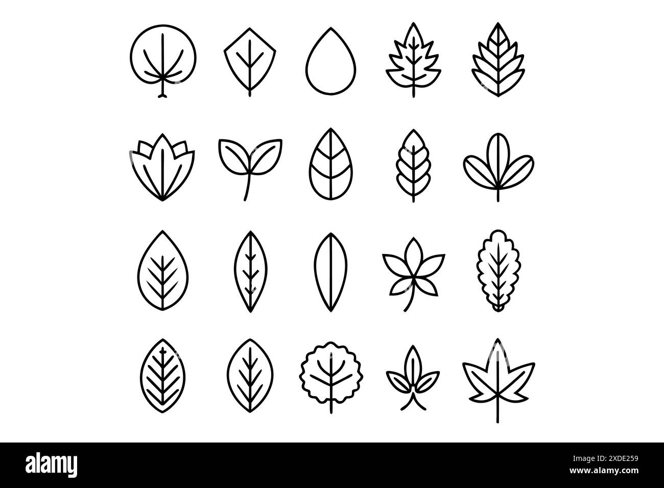 Set line art leaves Black and White Stock Photos & Images - Alamy