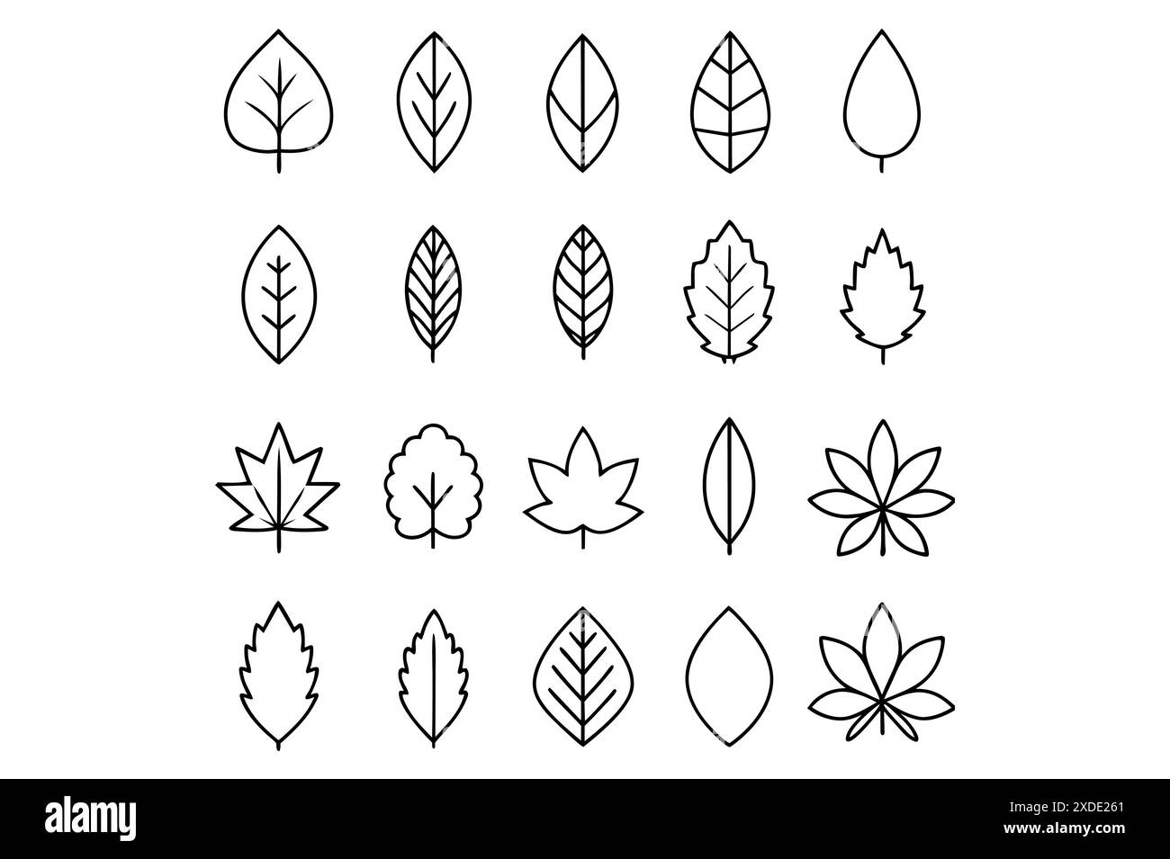Set Leaf Vector Illustration icon and white background Stock Vector ...