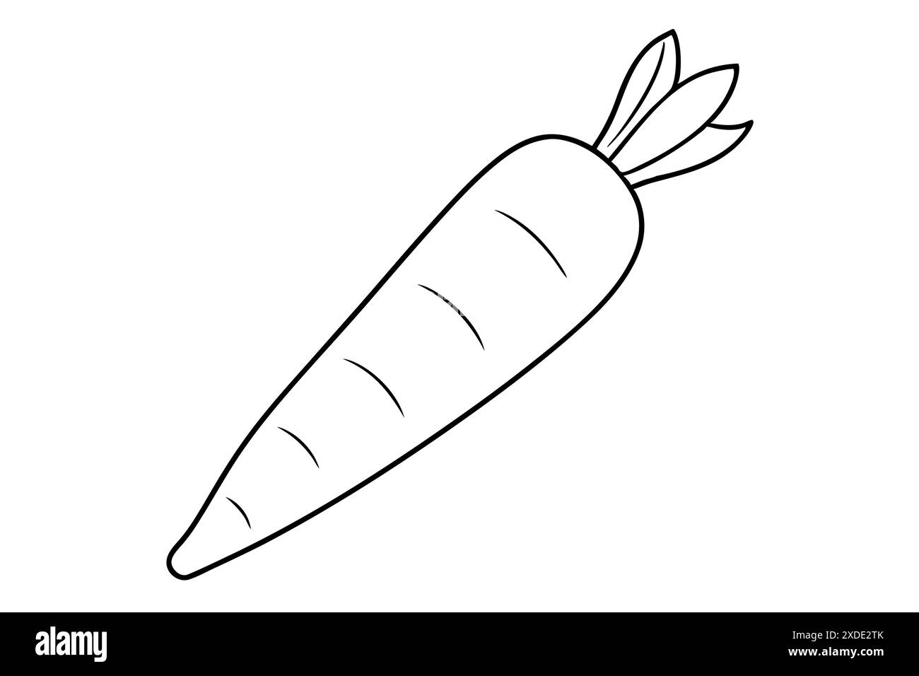 Carrot Vector line art and illustration Stock Vector Image & Art - Alamy