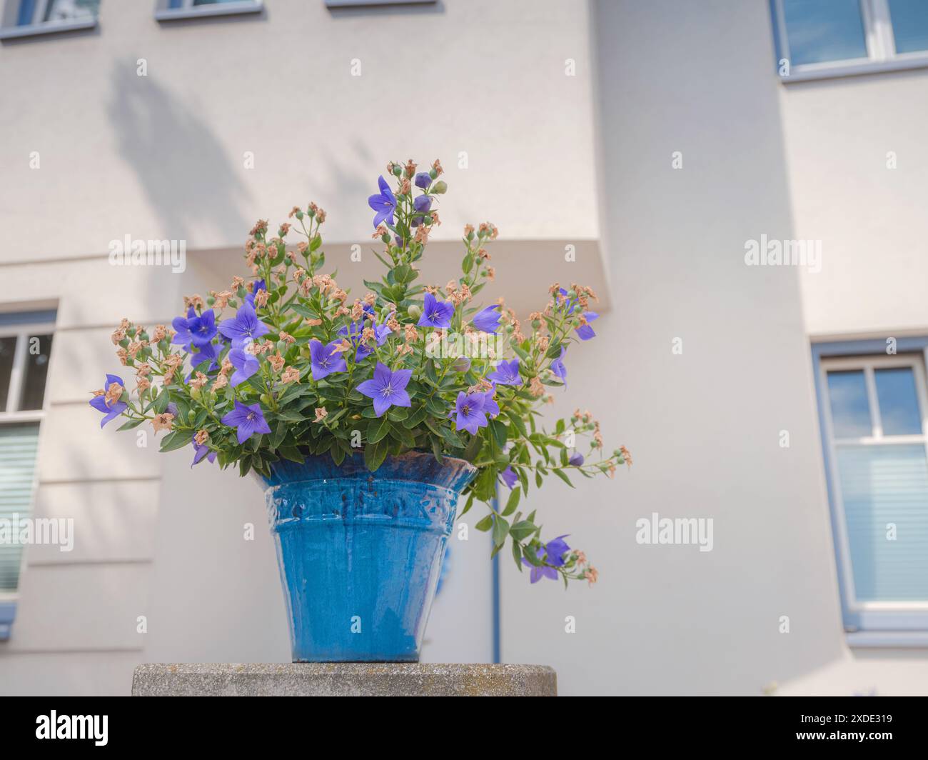 summer trip around Vienna, Austria. Modling district - countryside with ...