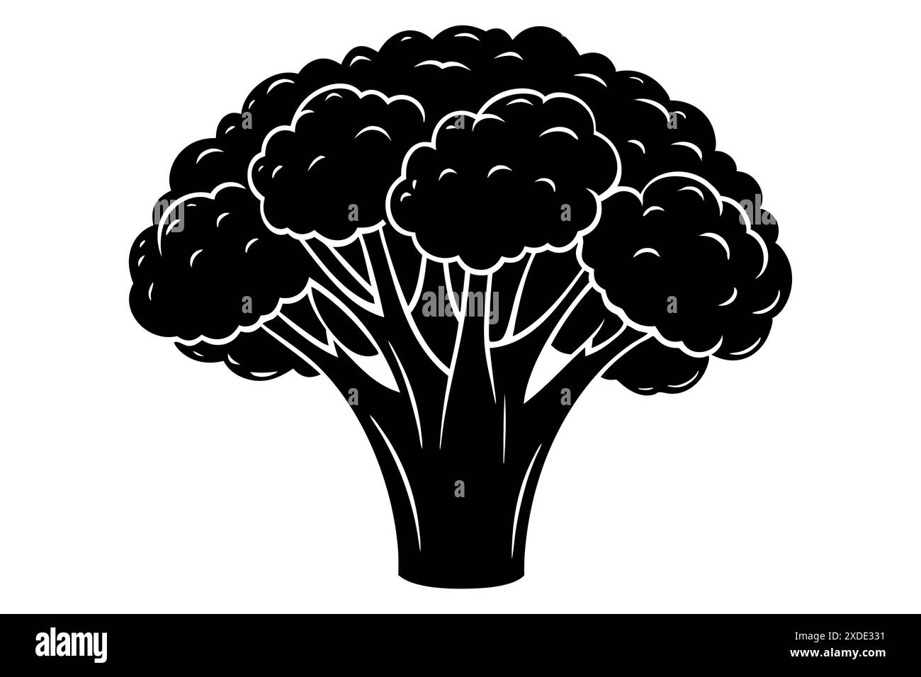 Hoodie template vector vectors Black and White Stock Photos & Images ...