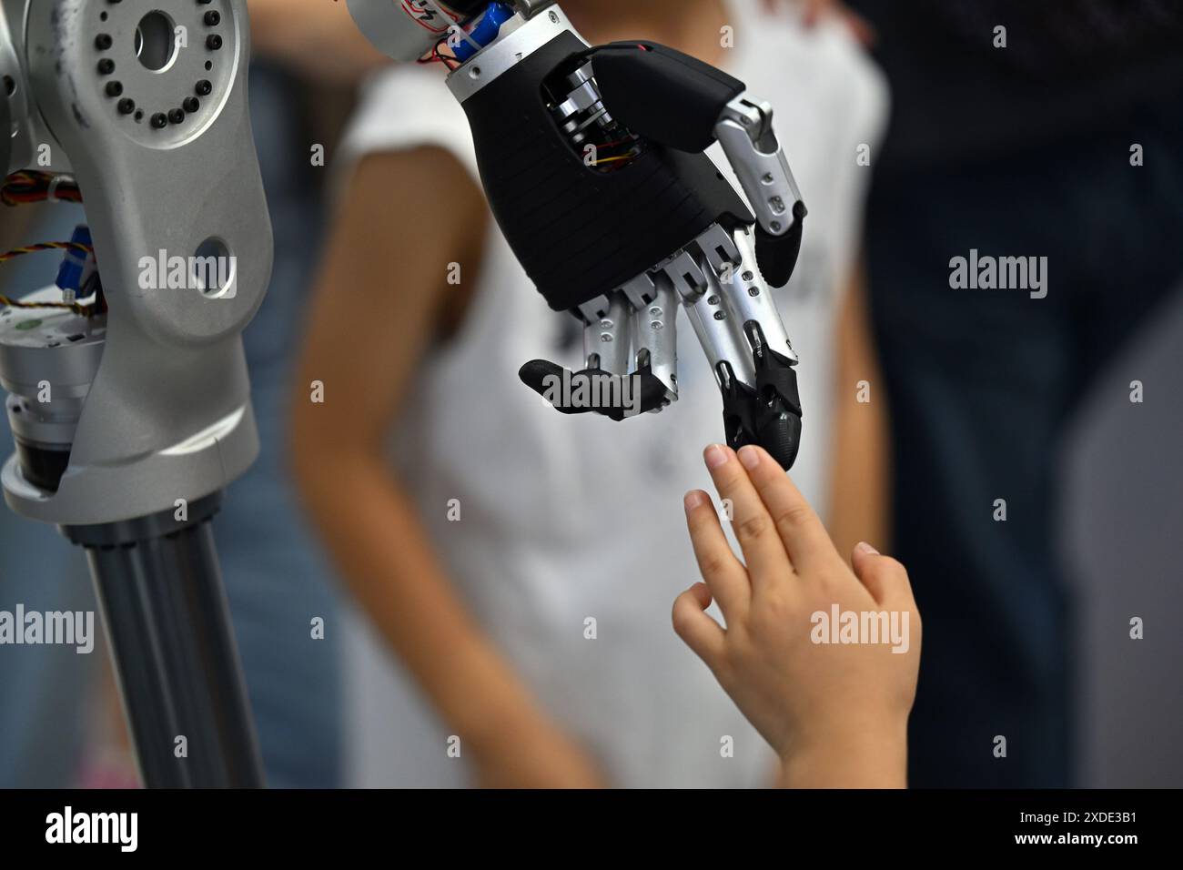 Tianjin. 22nd June, 2024. A visitor touches the fingers of a robot at ...