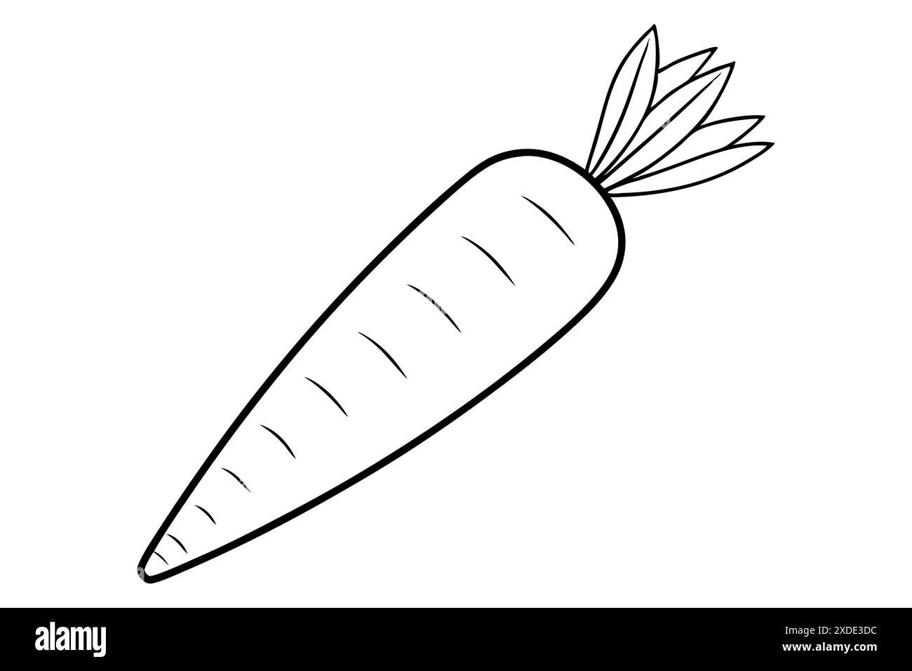 Carrot Vector line art and illustration Stock Vector Image & Art - Alamy