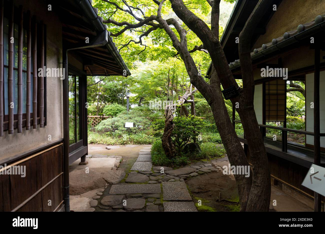 The garden of Hayashi Fumiko Memorial Hall, the house where the ...