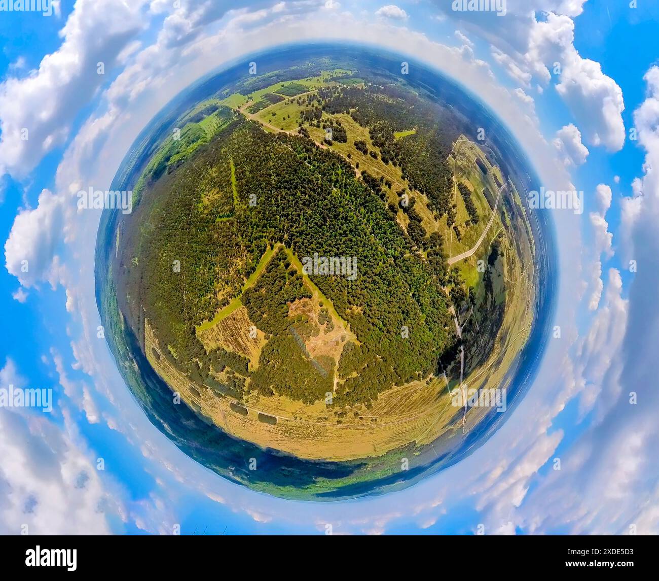 Aerial view, Moosheide nature reserve in the Senne, heathland, hiking ...