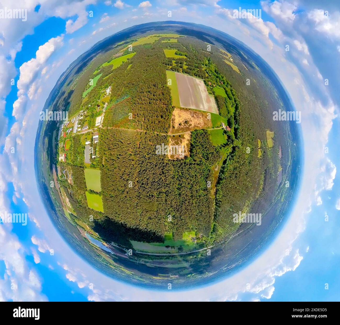 Aerial view, nature reserve Moosheide in the Senne, heath landscape ...