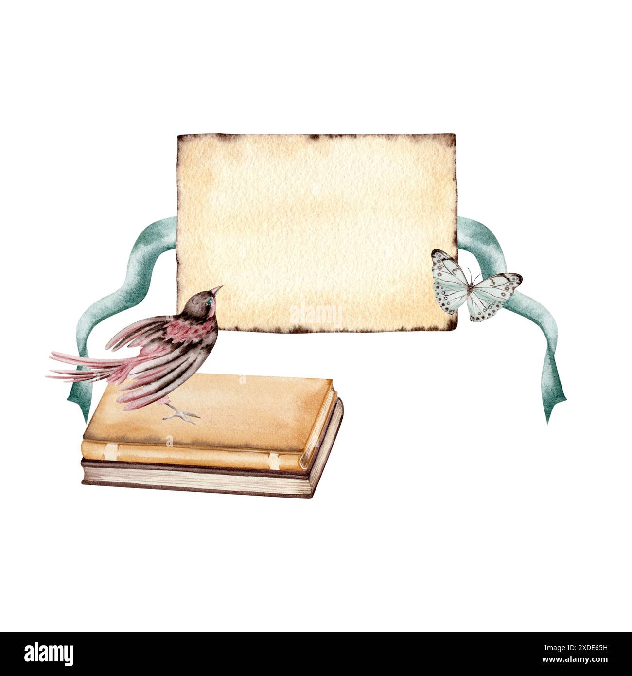 Old bird books hi-res stock photography and images - Alamy