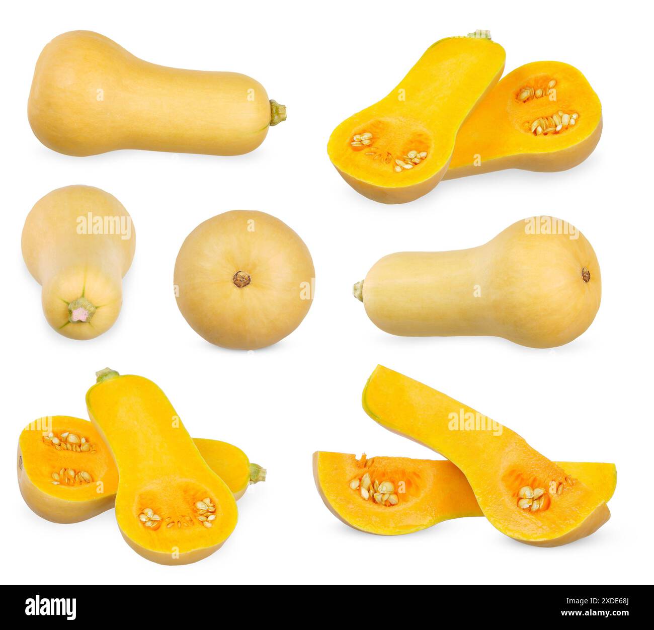 Collection of Butternut isolated on white background Stock Photo - Alamy