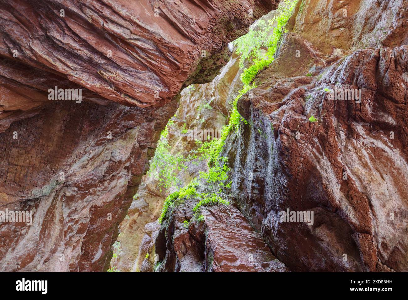 Red iron oxide rock formations at Cians gorges, Regional Nature Reserve ...