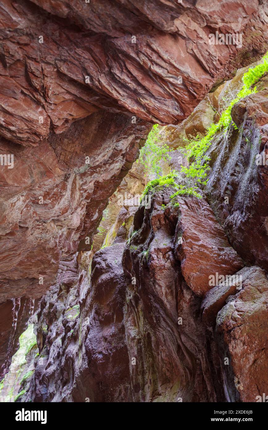 Red iron oxide rock formations at Cians gorges, Regional Nature Reserve ...