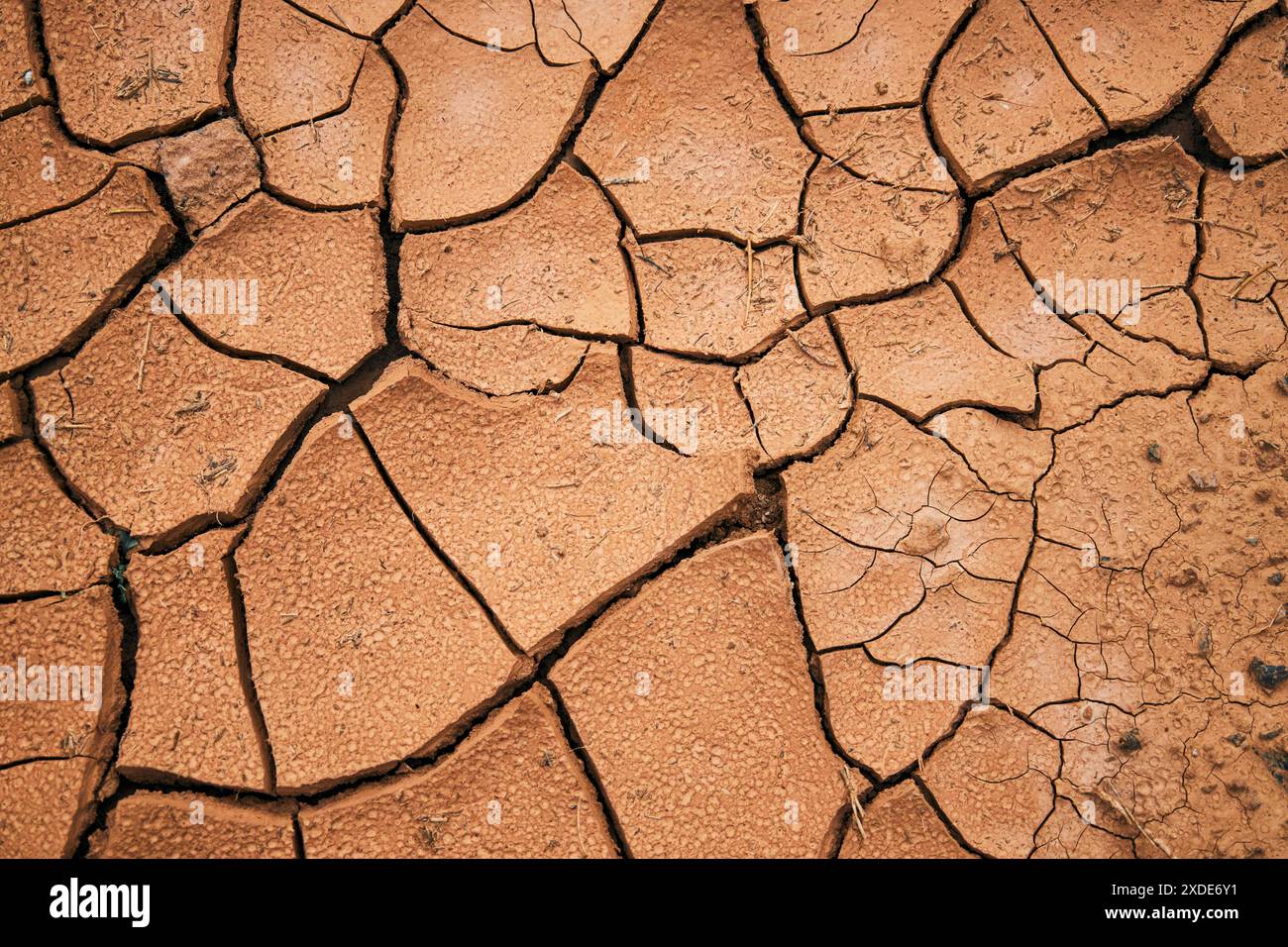 Takir, takyr soils. Landform, drying out saline soil in desert. Drying ...