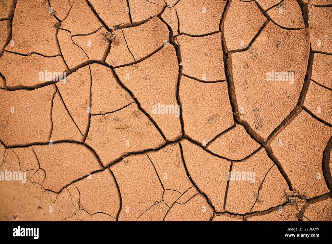 Drying cracks forming a characteristic pattern in clay soil. Natural ...