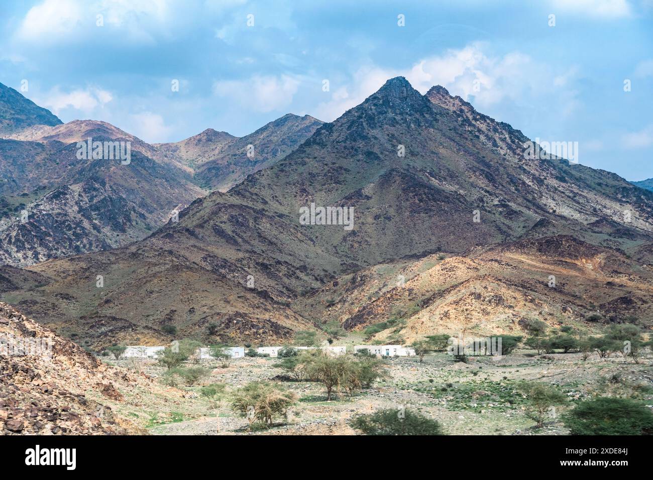Medina, Saudi Arabia - December 22, 2022: A serene village nestles at ...