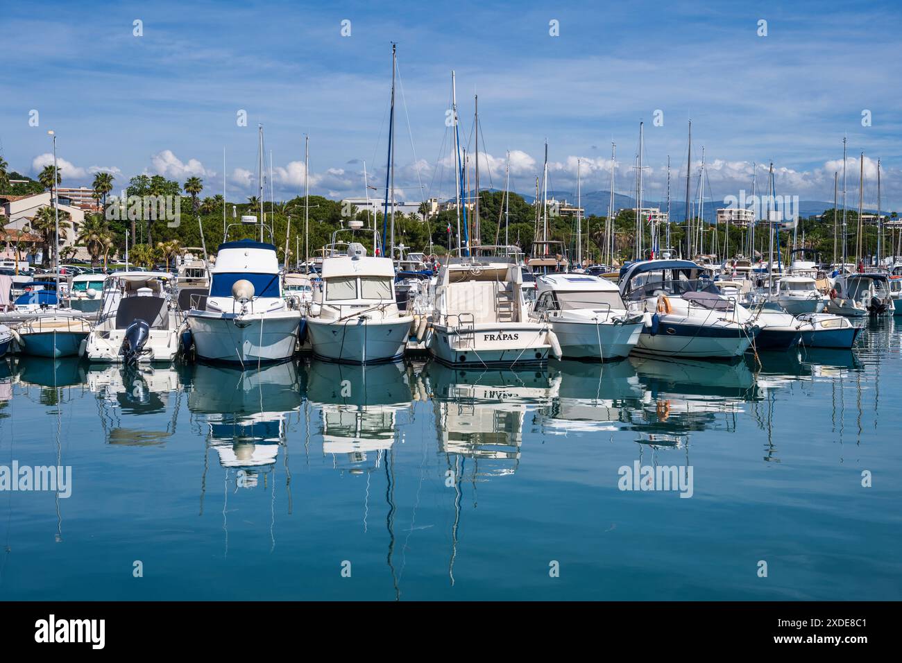 Luxury boats and yachts moored in Port Vauban Marina in Antibes, French ...