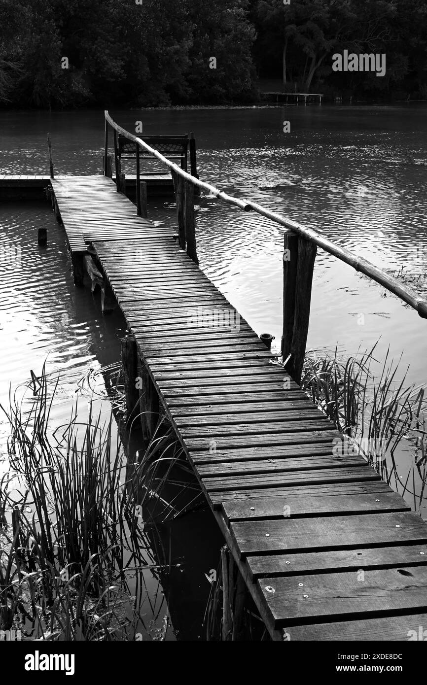 Wooden pontoon on Little Danube river, Potônské Lúky, Great Rye Island ...