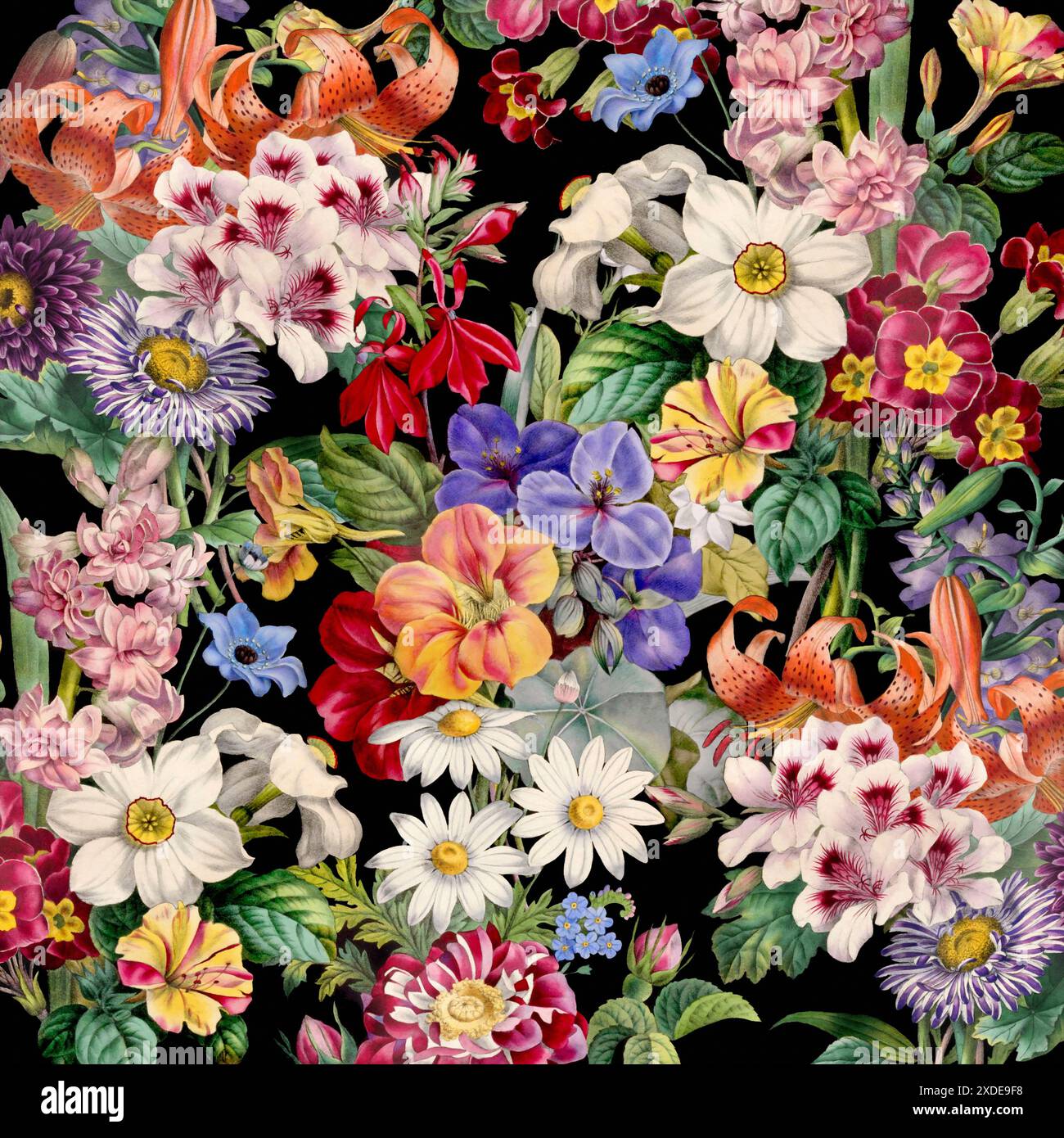 Lively floral design hi-res stock photography and images - Alamy