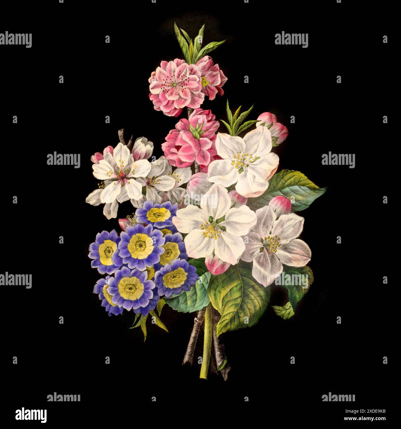 Colorful Blooming Flowers. A bouquet of flowers with lively colors on a ...