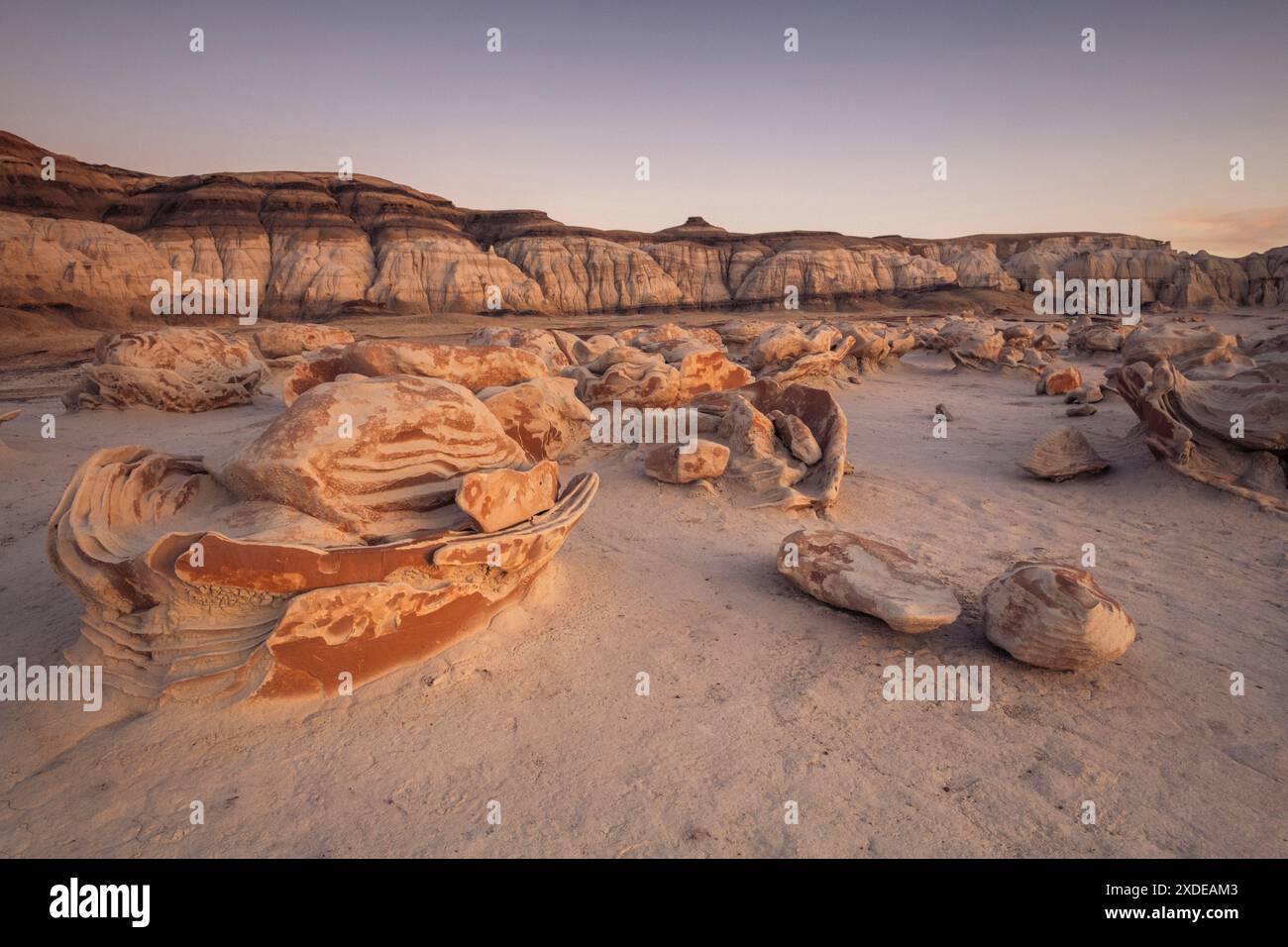 The alien eggs hatchery in bisti badlands at sunset Stock Photo - Alamy