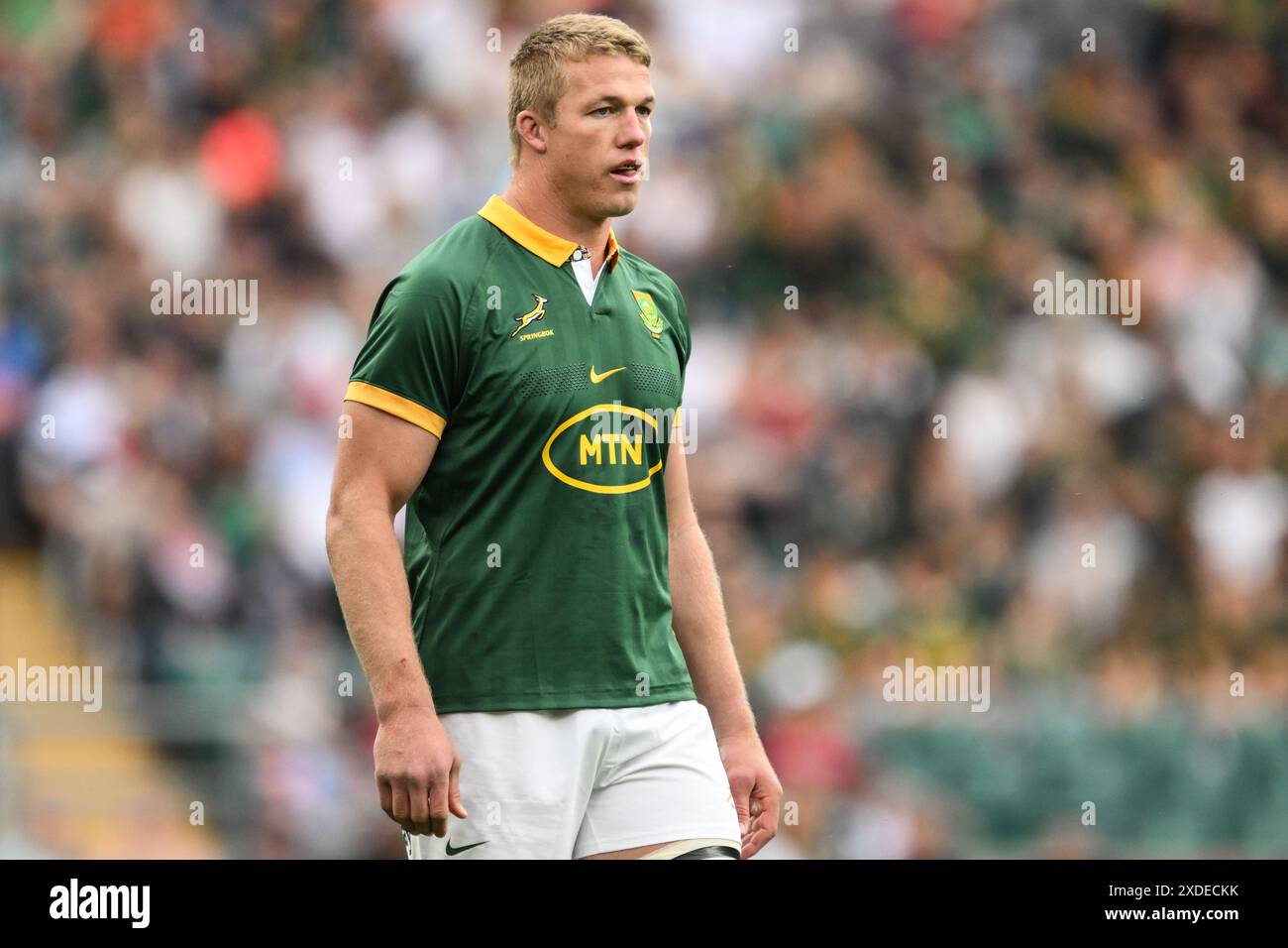 Pieter-Steph du Toit South Africa during the Qatar Airways Cup match ...