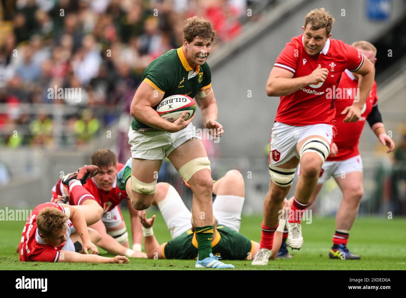 Evan roos south africa hi-res stock photography and images - Alamy