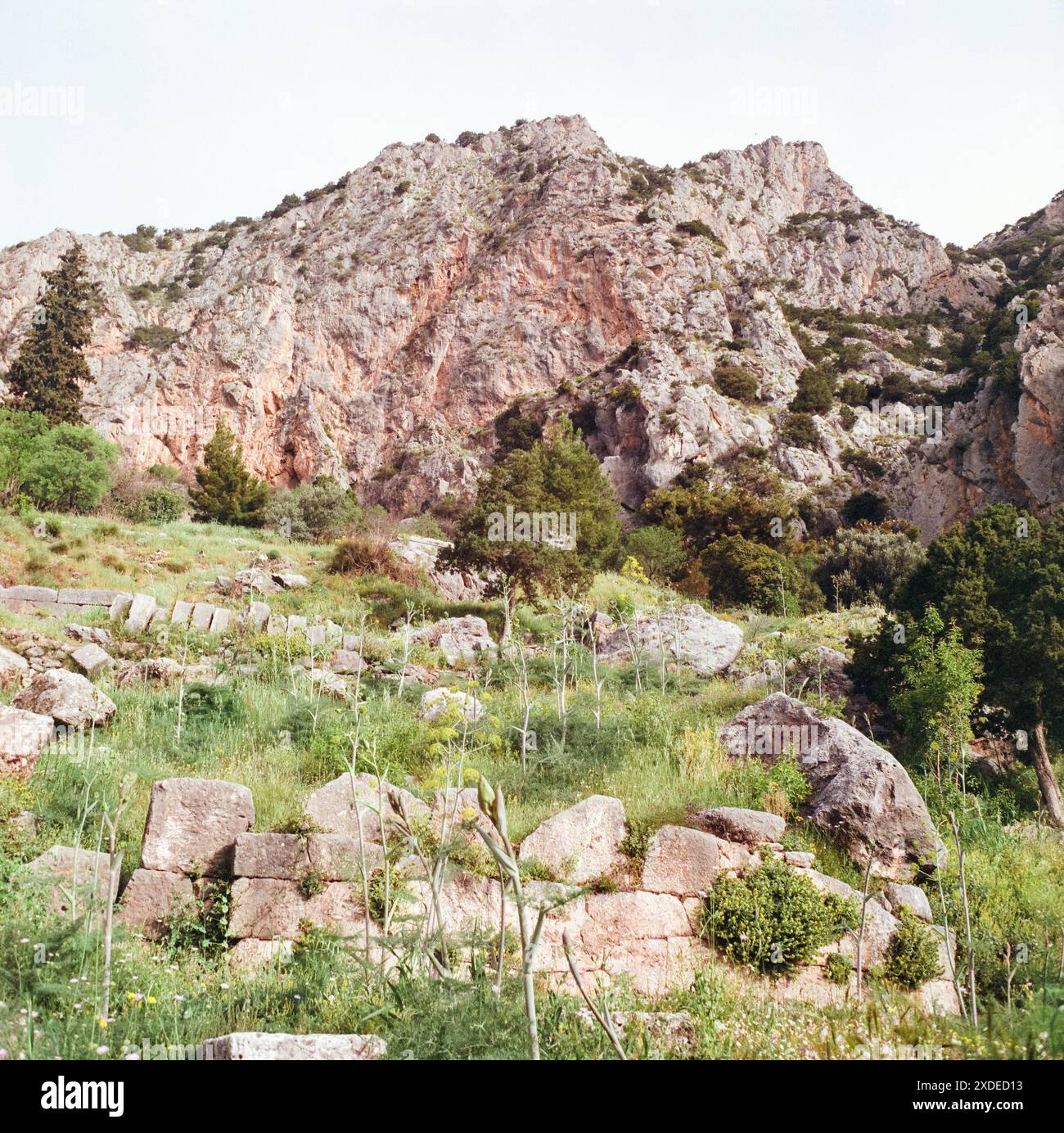 Delphi gorge hi-res stock photography and images - Alamy