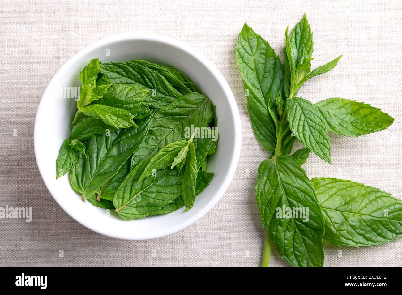 Fresh peppermint leaves in a white bowl on linen fabric. Hybrid species ...