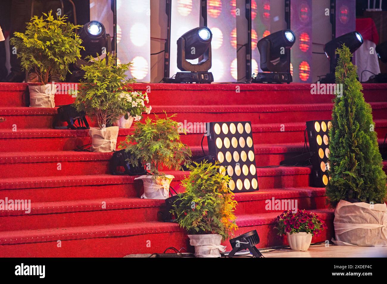 modern interior with red steps and fresh flowers with pots Stock Photo ...