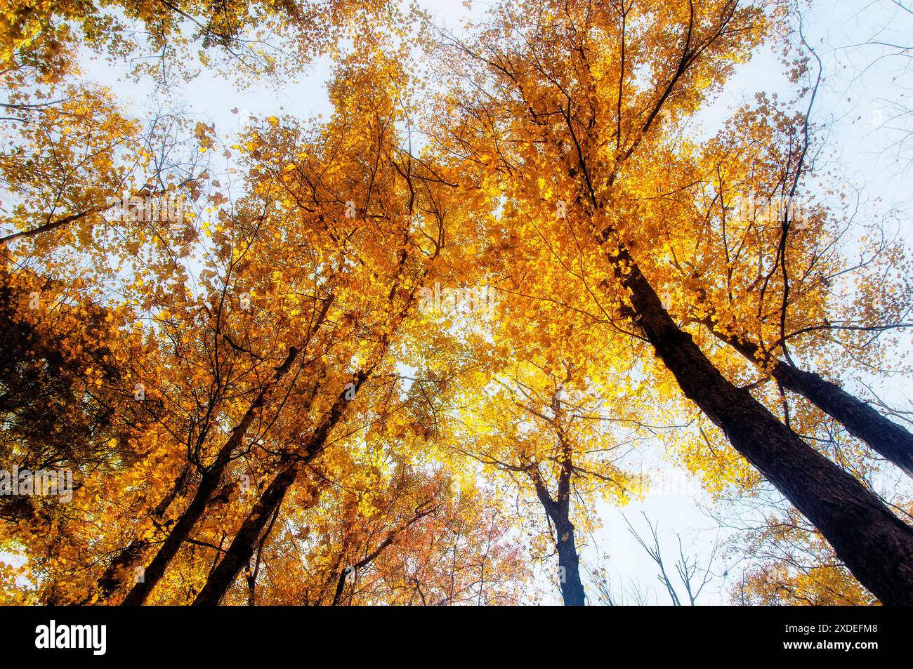 Tarrywile state park hi-res stock photography and images - Alamy