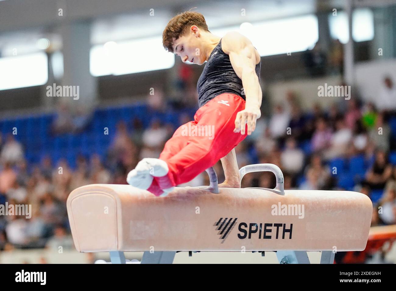 22 June 2024, Hesse, Rüsselsheim: Gymnastics: Olympic qualification ...