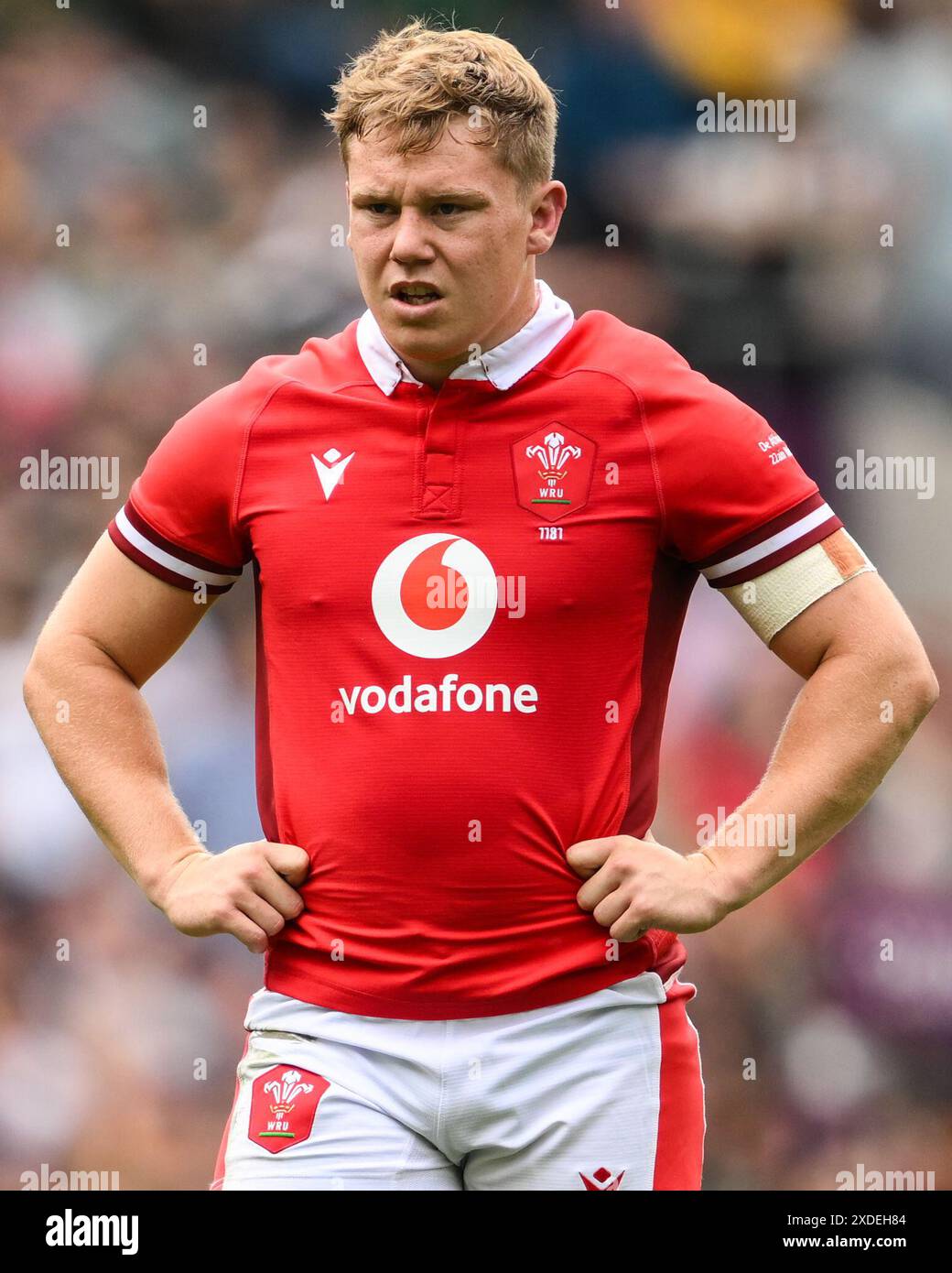 Wales sam costelow hi-res stock photography and images - Alamy