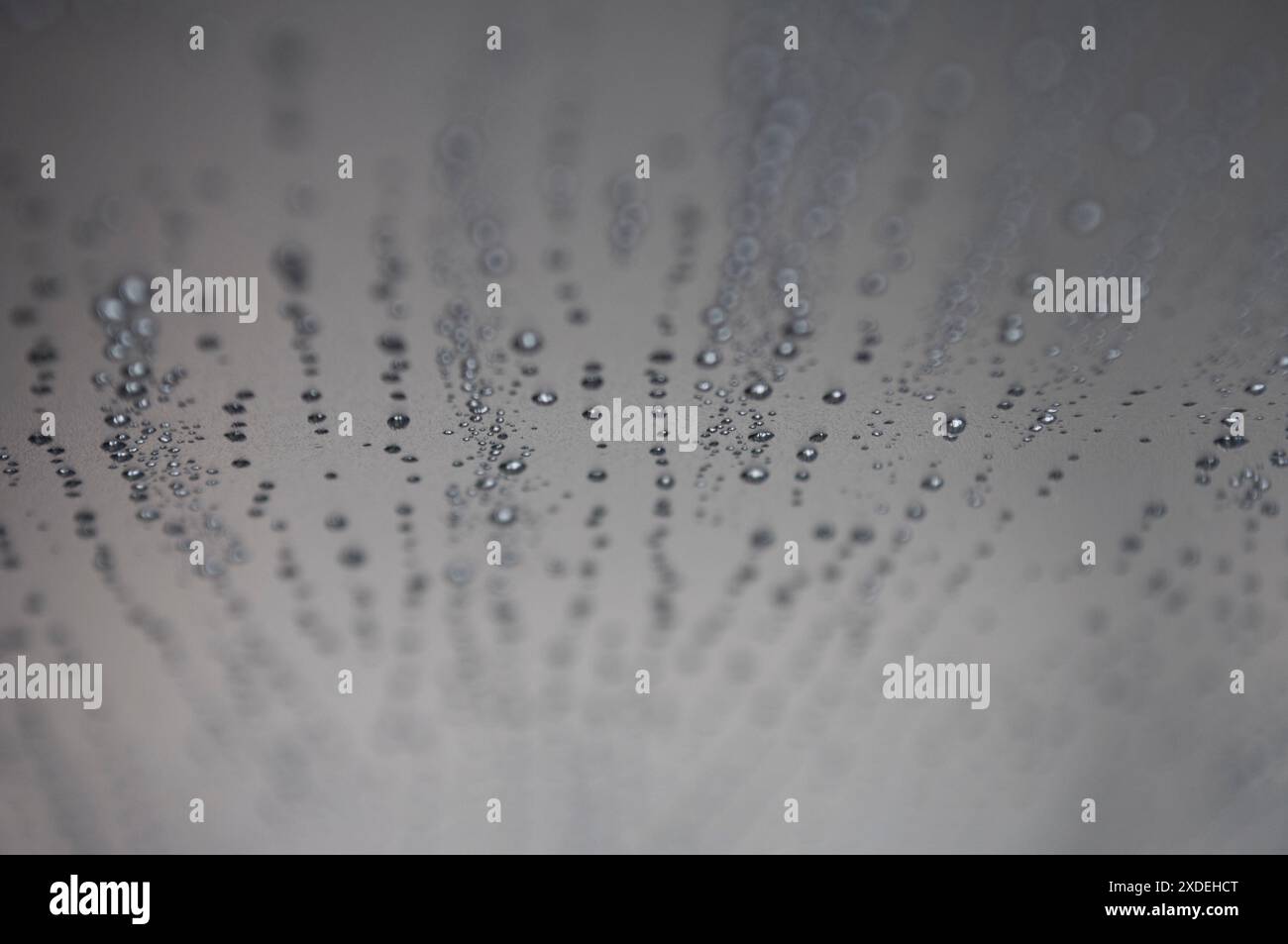 Top view of water droplets with black wallpaper background Stock Photo ...